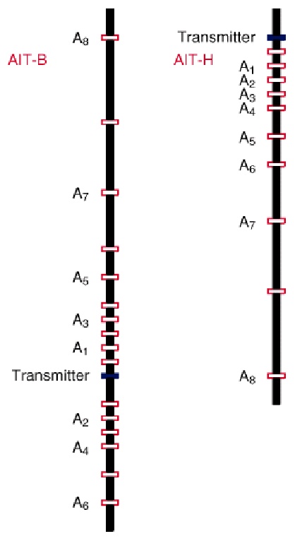 CPH | Induction Logs